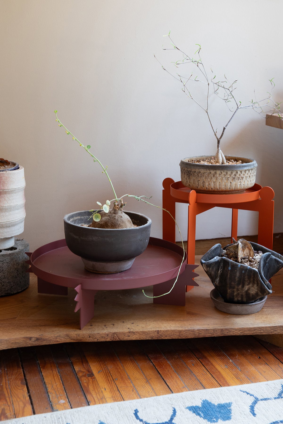 LP Stands + Accessories – Upton