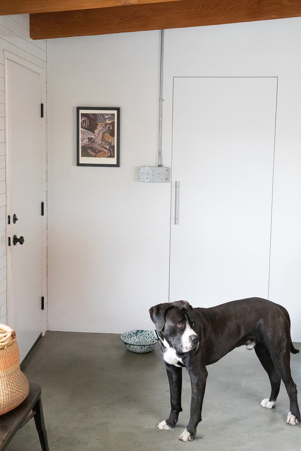 Upton | David Ryan | Trees Are Blue at Night